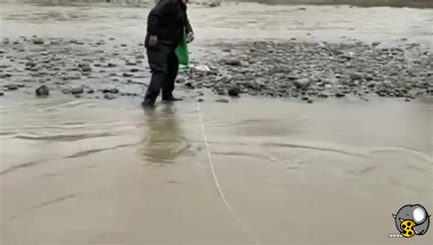 کیا اهل ماهی گیری هستن؟با ماش یا قلاب؟😉 فیلو