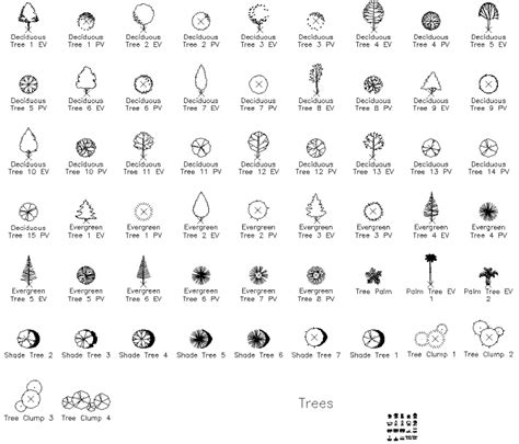 A Tree Plan Detail Dwg File Cadbull