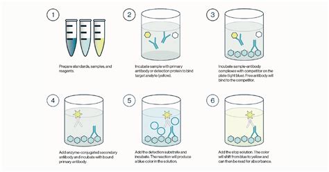 What Is A Competitive ELISA Echelon Biosciences