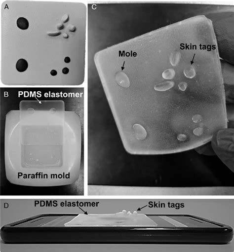 Development Of A Pdms Elastomer Skin Overlay A Photograph Of A