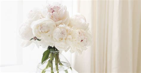 Hysterectomy Recovery—my Experience Before And After Surgery