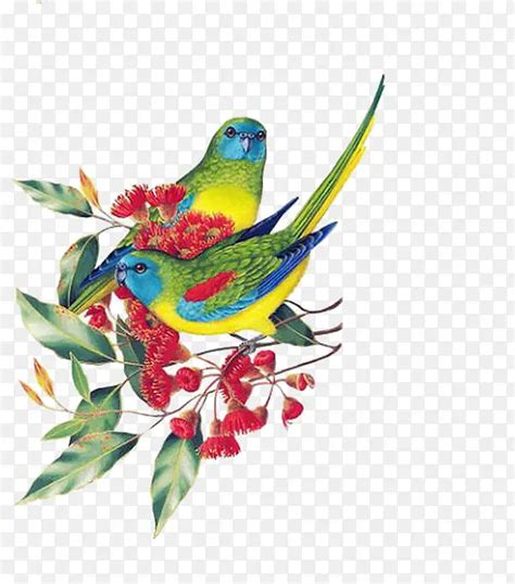 Png Png