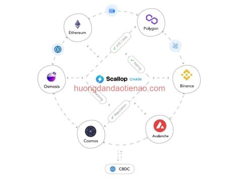 Scallop Sclp Là Gì Toàn Tập Về Sclp Token