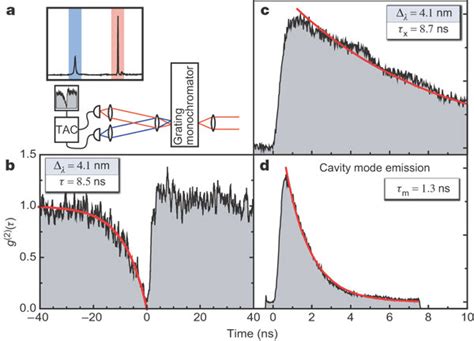 Cross Correlation Histogram And Time Resolved Photoluminescence From
