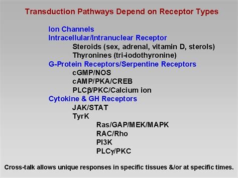Transduction In Endocrinology 317319 Department Of Biology University