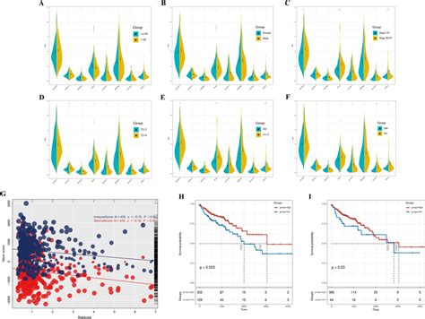 Clinical Correlation And Tumor Microenvironment Analysis A The