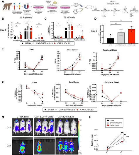 Optimization Of Lentiviral Delivery Of Barcoded Anti Cd20 Chimeric Antigen Receptors Into Rhesus