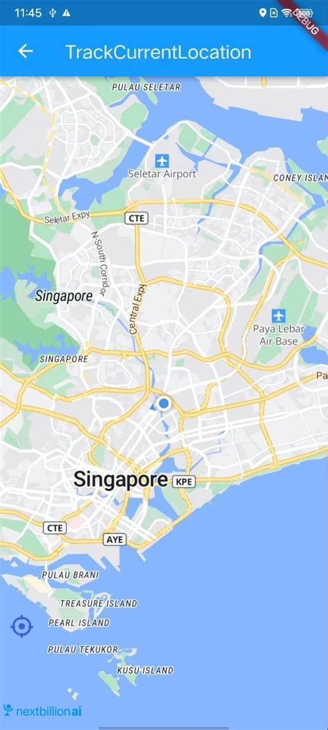 Location Component Flutter Navigation Sdk Exmaples