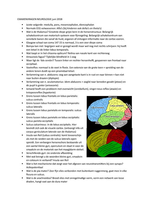 Tentamen 14 Juni 2018 Vragen En Antwoorden Examenvragen Neurologie