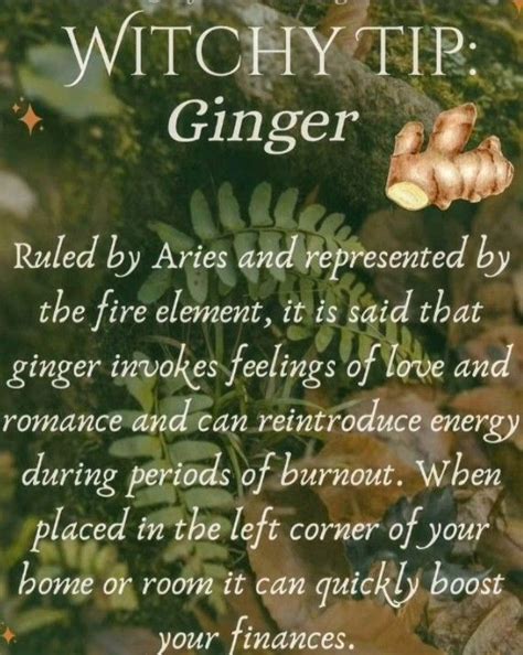Ginger Meaning Witchcraft Ginger Witchcraft Uses Magic Herbs Herbalism