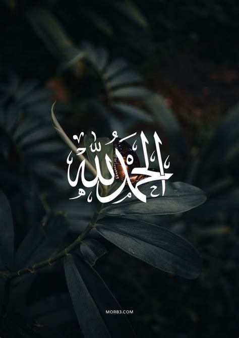 خلفيات للجوال Islamic dp quotes Islamic wallpaper Beautiful wallpapers for iphone