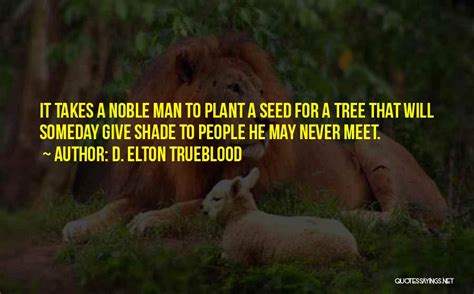 Top 100 Quotes And Sayings About A Shade Tree