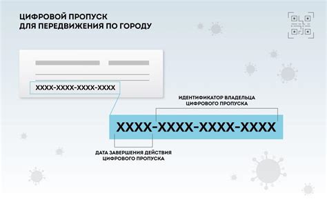 Пропуск в Москву и Московскую область