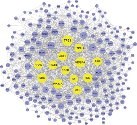 ad targets network ad target network was generated by cytoscape 3 6 0