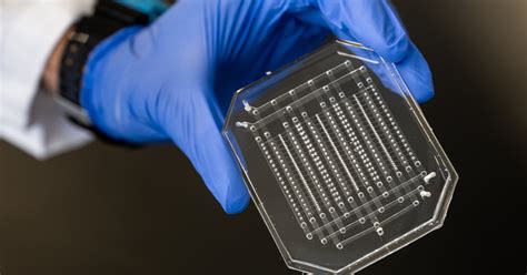 Microfluidic Technology Transforms Pharmaceutical Research Leslie Dan