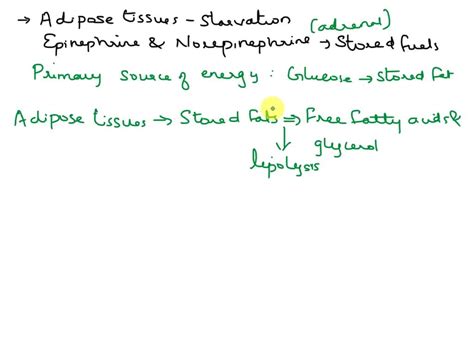 SOLVED Draw Three Metabolic Charts Next To Each Other On The Same Paper Showing The Flux Of The