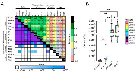 Longitudinal Variations In Antibody Responses Against Sars Cov 2 Spike Epitopes Upon Serial