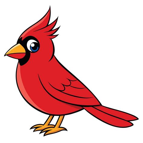 Cartoon Cardinal Bird 53239409 Vector Art At Vecteezy