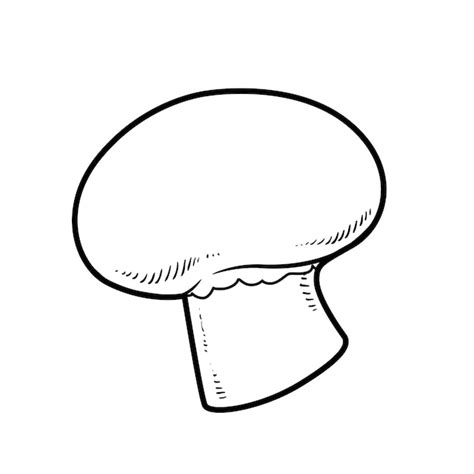 흰색 배경에 버섯 샴 피뇽 선형 그리기 프리미엄 벡터