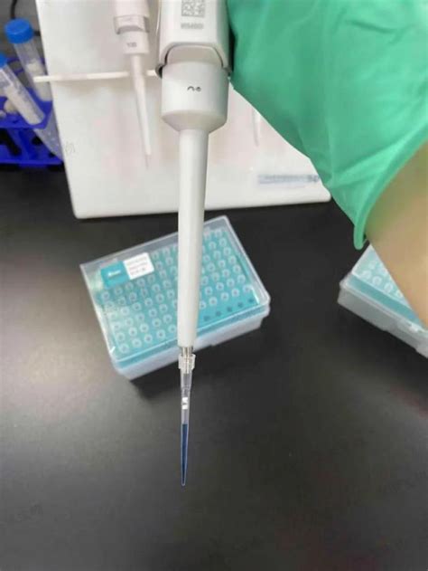 Different Types Of Flask And Their Common Laboratory Uses Ucallmlabs