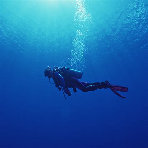 강릉그린스쿠버 체험 오픈워터 자격증 과정 3박 4일 티몬