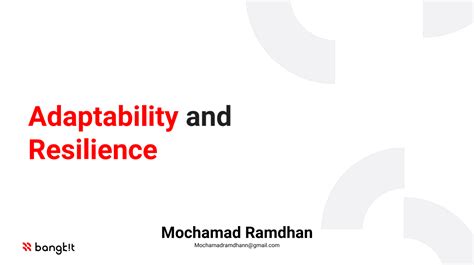 5 Ways Of Adaptability And Resilience How I Adapted When Participating