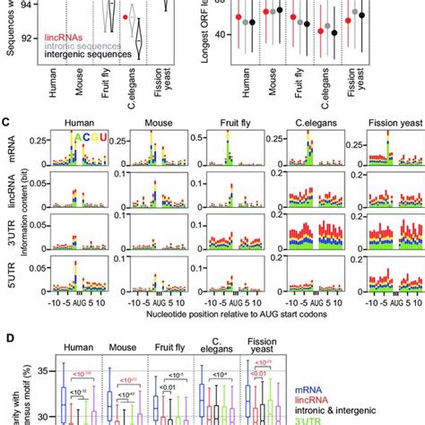 Prevalence Length And Start Codon Sequence Context Of Lincrna Orfs Download Scientific