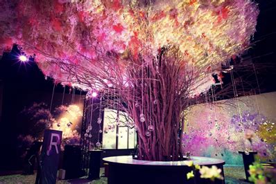Naked Inc Naked Flowers Nft