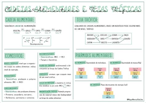 Mapas Mentais Sobre Cadeia Alimentar Study Maps