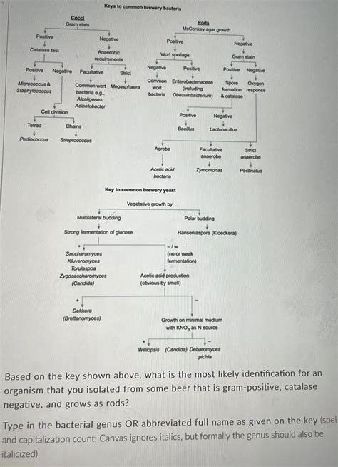 [answered] Positive Catalase Test Positive Micrococcus O Staphylococcus Kunduz