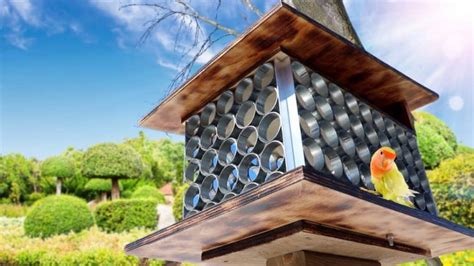 Unique Squirrel Proof Bird Feeder DIY Joy