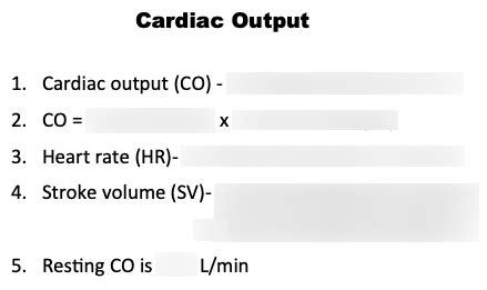 A P II Lecture Chapter HEART Cardiac Output Definitions Diagram Quizlet