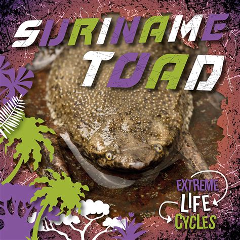 Surinam Toad Extreme Life Cycles Booklife Publishing