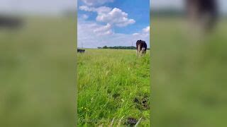 Free Yaela Porn Videos Oncams Tv