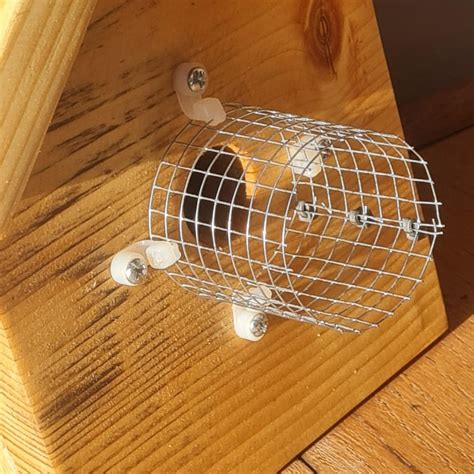 1 Bird Box Predator Protection Guard Kit Nest Box Squirrel Magpie Cat
