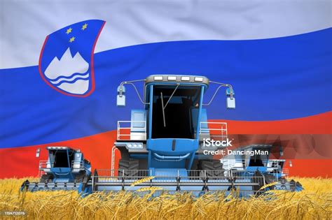 국기 배경으로 농촌 필드에 4 개의 하늘색 결합 수확기의 산업 3d 그림 슬로베니아 농업 개념 3차원 형태에 대한 스톡 사진 및 기타 이미지 Istock
