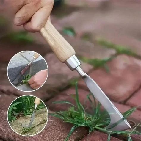 1 Pieza Herramienta Manual De Acero Inoxidable Para Arrancar Malas