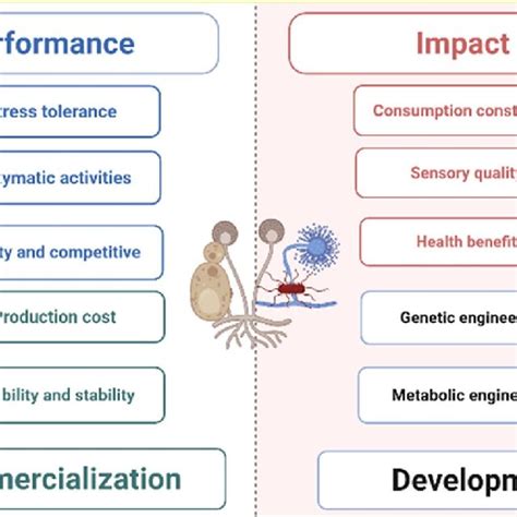 Pdf Soybean Fermentation Microbial Ecology And Starter Culture Technology
