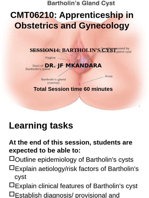 Session 14 Bartholin Cyst Pdf Vagina Sexual Anatomy