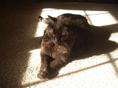 Ryan Schefstad Ryanschefff • Instagram Photos And Videos