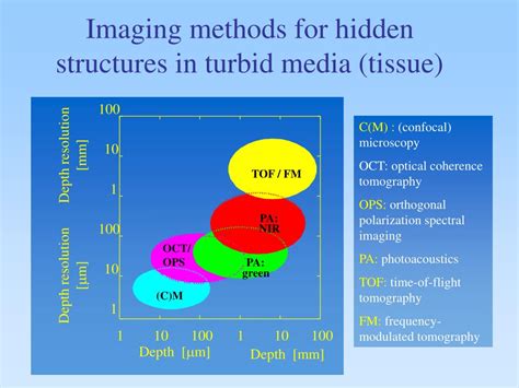 Ppt Imaging Methods For Hidden Structures In Turbid Media Tissue