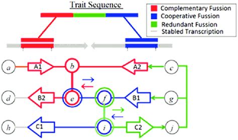Illustration Of Model Injection Types Achieved From Tbcca From Sparse Download Scientific