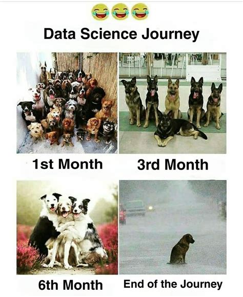 Yiyi Zhong On Linkedin Lol