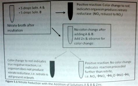 Biochemical Tests Flashcards Quizlet