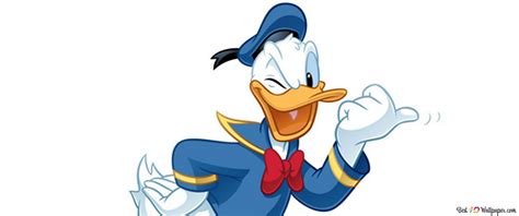 Donald Duck Winking In Blue Sailor Suit Red Bowtie Yellow Beak And