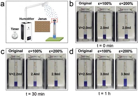 A Schematic Illustration Of Fog Harvesting Measurement System Bd Download Scientific