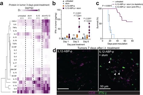 Intratumourally Injected Alum Tethered Cytokines Elicit Potent And Safer Local And Systemic