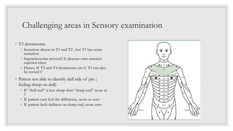 International Standards For Neurological Classification Of Spinal Cord Pptx