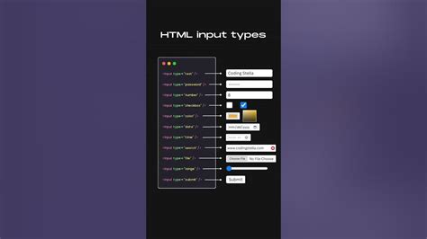 Html All Input Types Html Input Types Youtube
