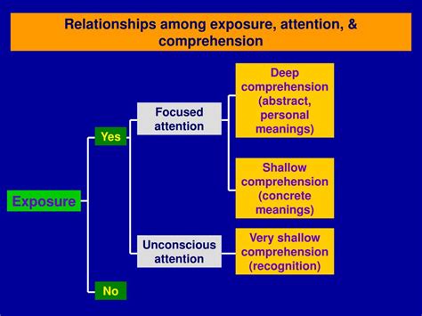 Ppt Chapter 5 Exposure Attention And Comprehension Powerpoint